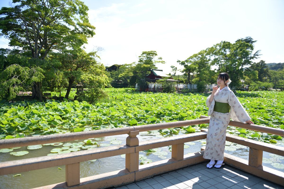 April's Citadel of Kamakuradono Vol.1: 新・わーるういんどのメタボな毎日