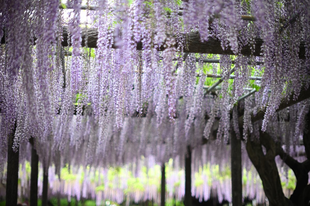 GW前半終了: 新・わーるういんどのメタボな毎日